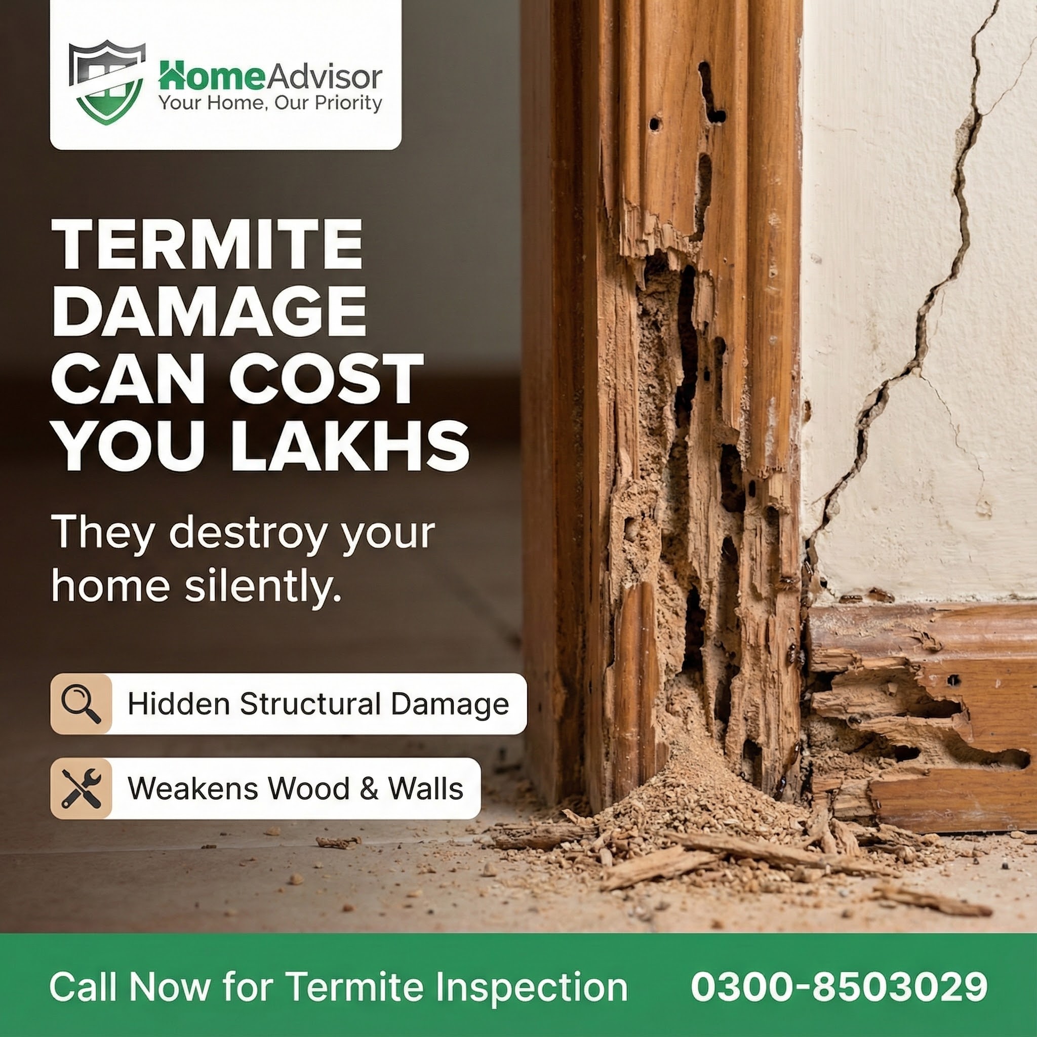 Professional Termite Control Services | Protect Your Home